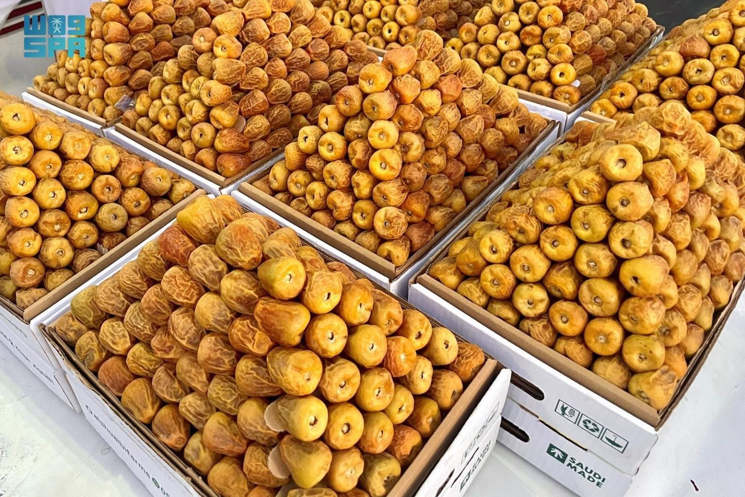Buraidah Dates Carnival Records Over SAR106 Million in Sales Within 15 ...